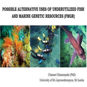 Possible Alternative Uses Of Underutilized Fish And Marine Genetic ...