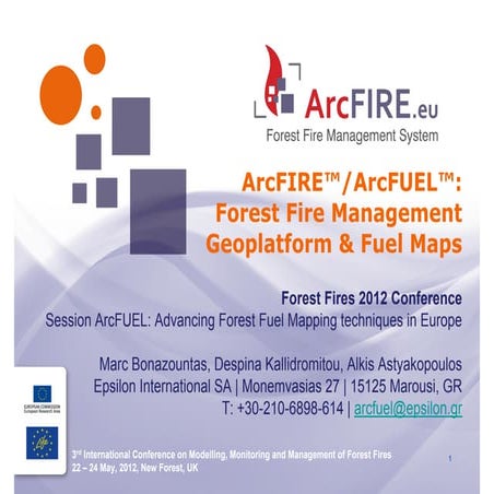 04.forest fires 2012_epsilon_210512 | PPT