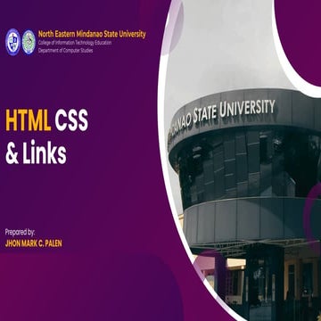 Styling and Navigation with HTML and CSS | PDF