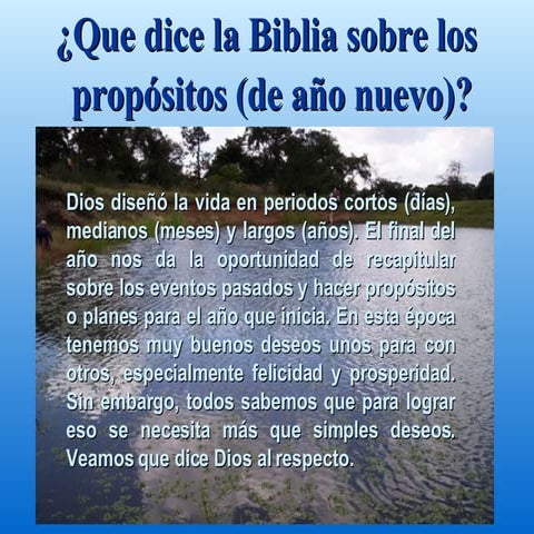 04 Los Propositos (De AñO Nuevo) | PPT