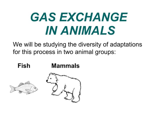 Open and close circulatory systems and examples | PPTX