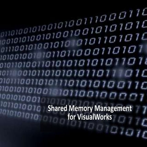 Shared Memory Management for VisualWorks | PPT