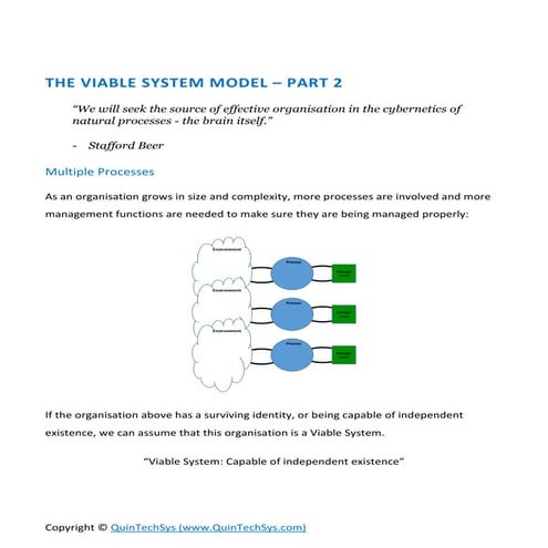 Viable System Model - Part 02 | PDF