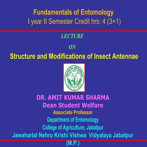 Structure and Modifications of antennae | PDF