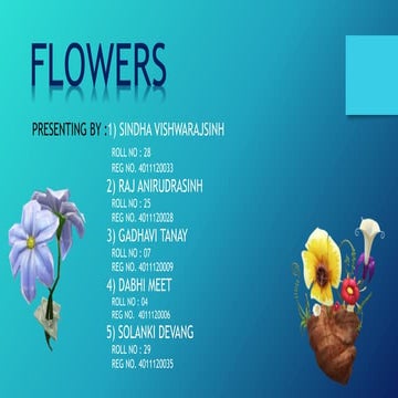 flower structure.pptx