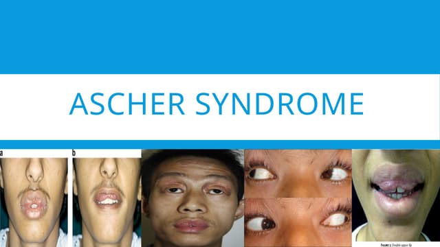 FOP bdhhd dbdb dhdbd dbdbdbdbdbdb (1).pptx