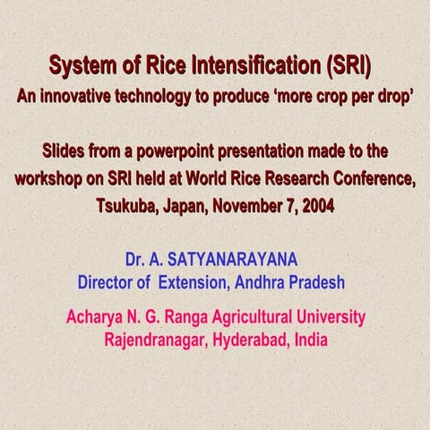 0430 System Of Rice Intensification Sri Ppt