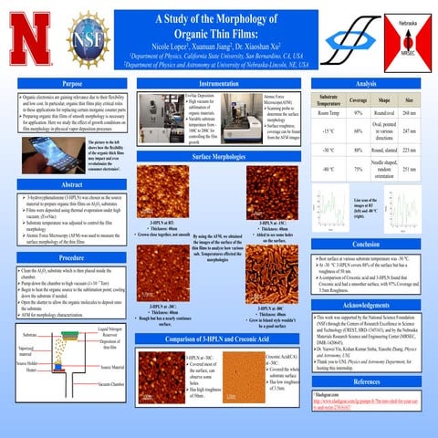 Poster REU 2016 | PPTX