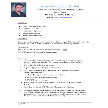 Mostafa Said Abd Elbaky CV | PDF