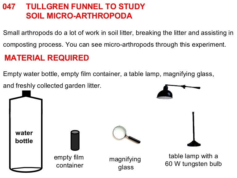 047 tullgren funnel to study soil microarthropoda