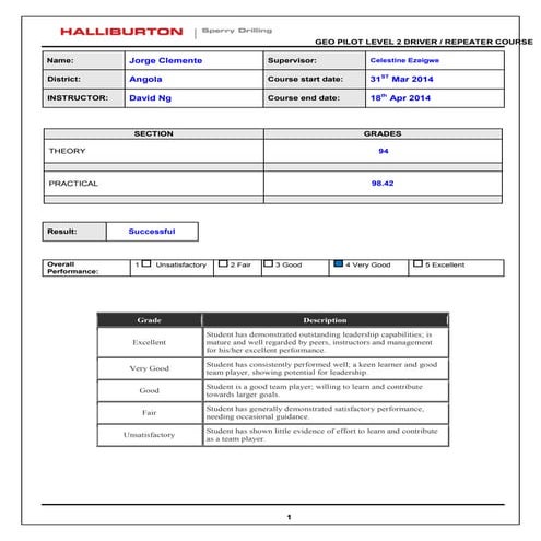 Jorge SUPERVISOR'S REPORT | PDF