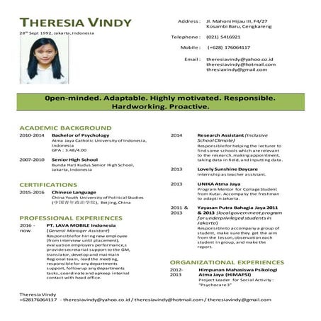 CV JS FINAL-Theresia Vindy | PDF