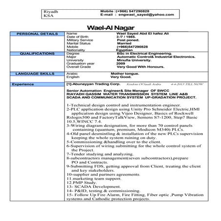 Wael Alnagar CV | PDF