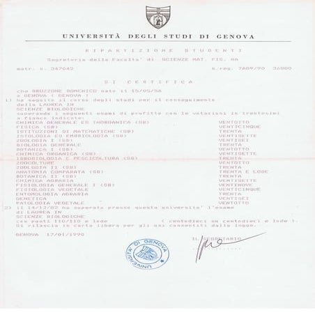 University Diploma | PDF
