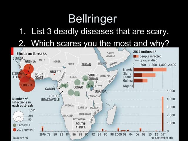 Primary vs secondary source | PPTX