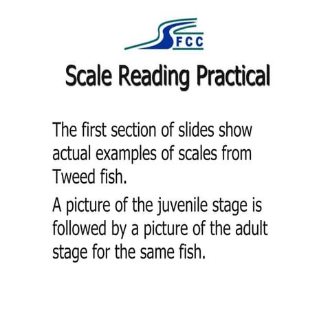 SFCC Scale Reading Practical - 2017 | PPTX