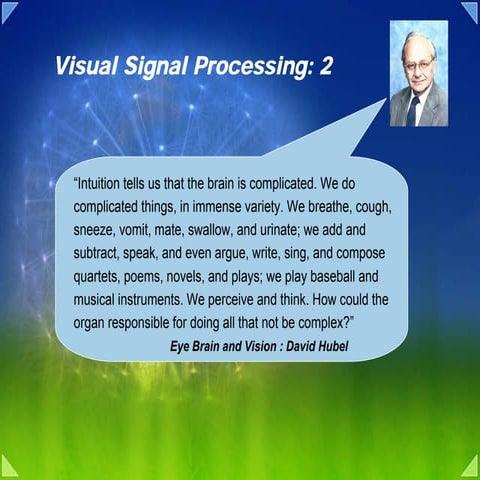 04b visiual signal processing form shape | PDF