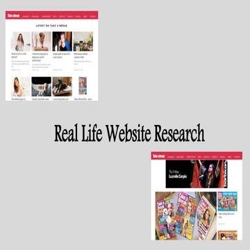 04 C AND C WEBSITE .pptx