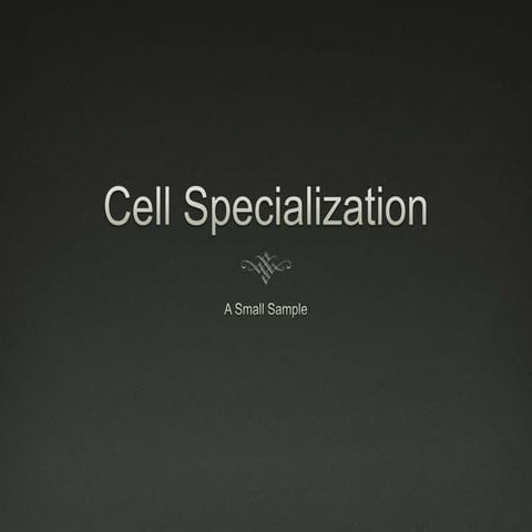 04 cell specialization | PPTX