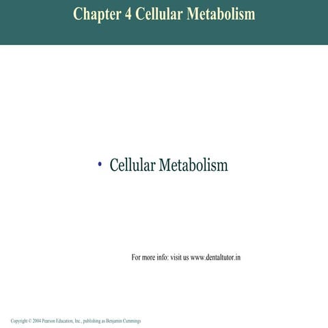 Cellular Metabolism | PPT