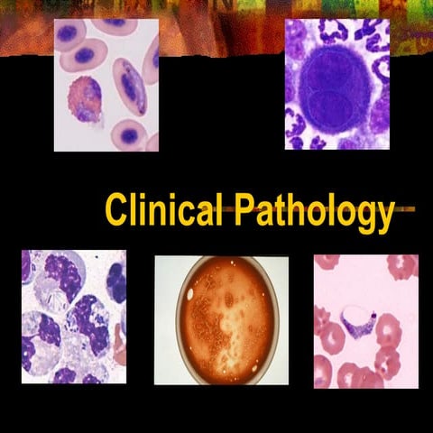 General Veterinary Clinical Pathology.ppt