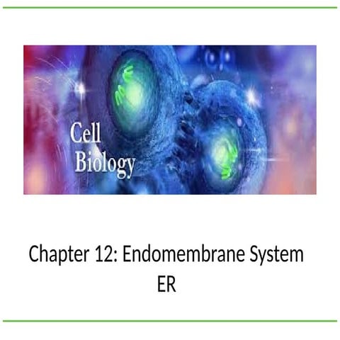 chapter four endomembrane system ER.pptx