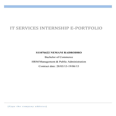 IT intern E-Portfolio | PDF