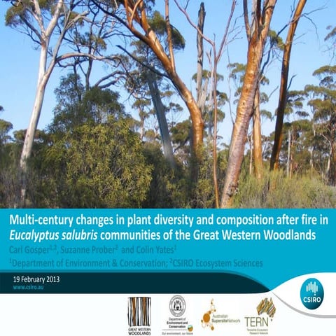 Morphological variation in Balanites aegyptiaca fruits and seeds within ...