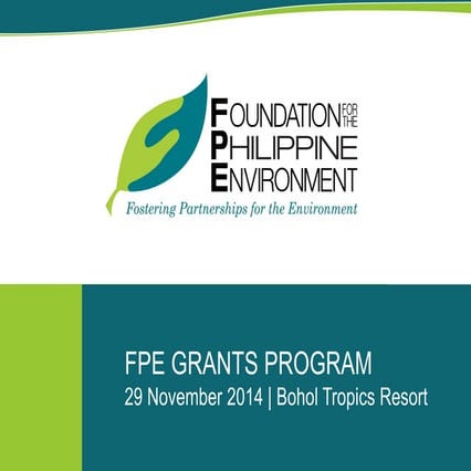 FPE Grants Program | PDF