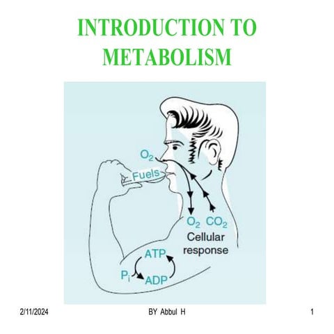 Introduction to metabolism | PPT