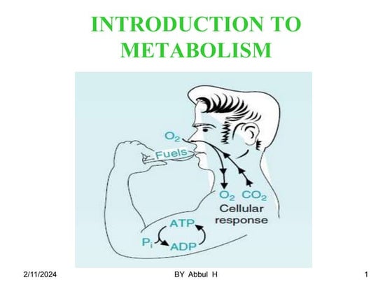 Introduction to metabolism | PPT