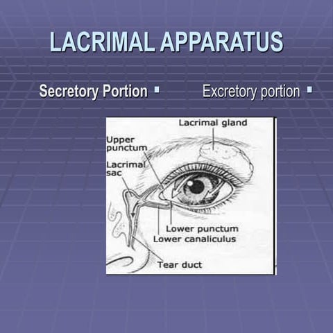 Anatomy and Physiology of Lacrimal system | PPTX