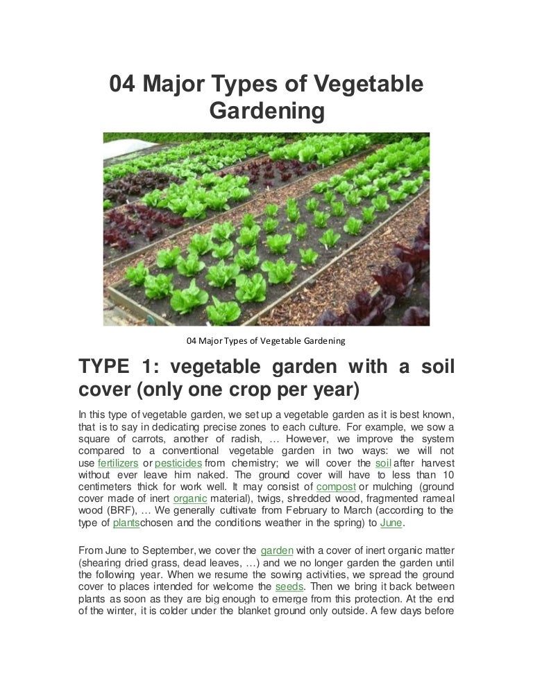 Types Of Common Garden Vegetables
