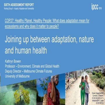 Joining up between adaptation, nature and human health | PPT