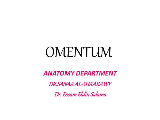 Anatomy of the Ruminant Stomach | PPT