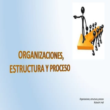 04 organizaciones estructura y proceso | PPTX