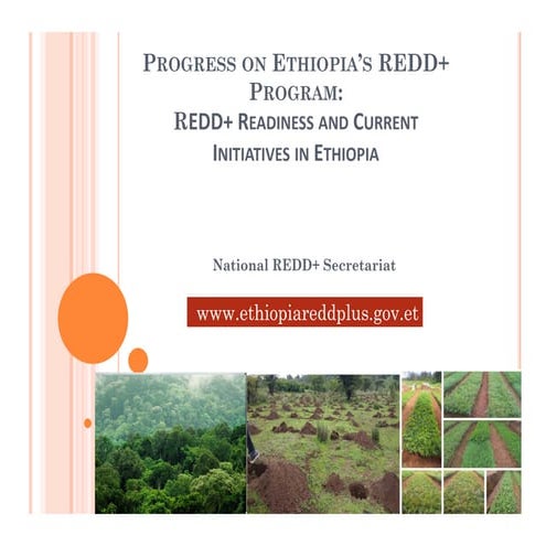 Progress on Ethiopia’s REDD+ Program: REDD+ Readiness and Current ...