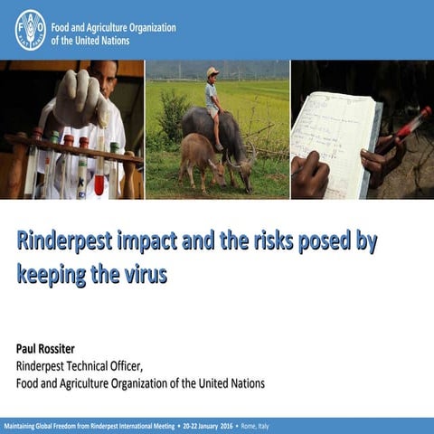 Rinderpest impact and the risks posed by keeping the virus | PPT