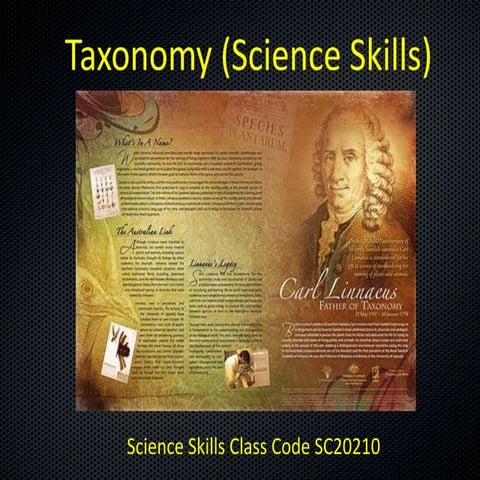 Taxonomy Presentation | PPT