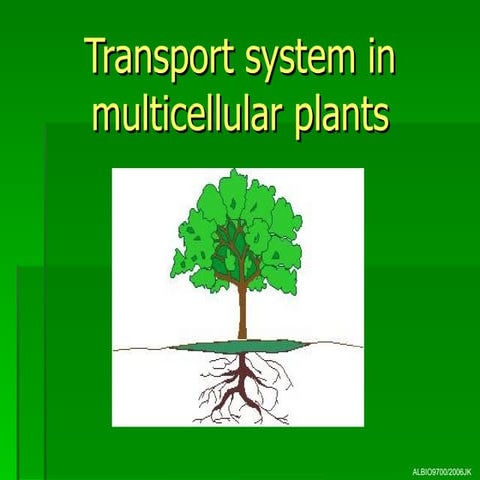 vdocument.in_ppt11-transport-in-plants-igcse-coordinated-sciences ...