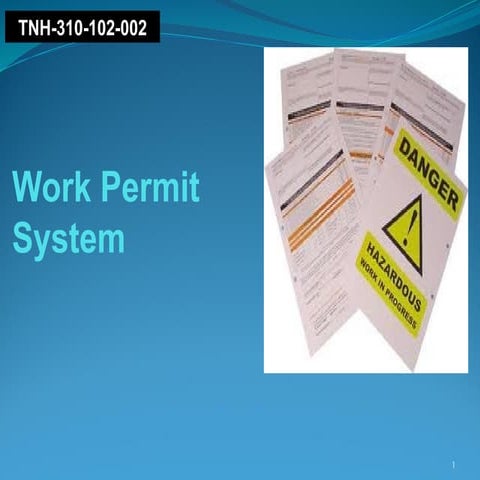 Work Permit System | PPTX