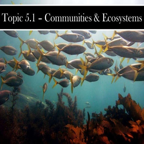 05.1 ecology - communities & ecosystems | PPT