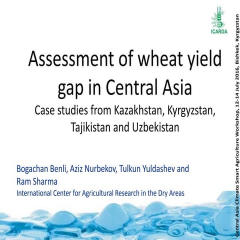 Assessment of wheat yield gap in Central Asia | PPTX