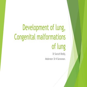development of lung, congenital malformations of lung | PPTX