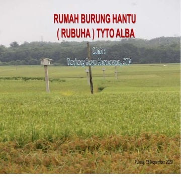 RUBUHA | PPTX