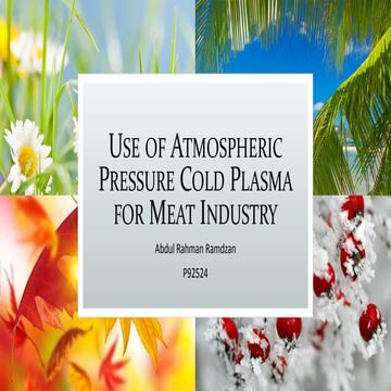 Use of Atmospheric Pressure Cold Plasma for Meat Industry | PPT