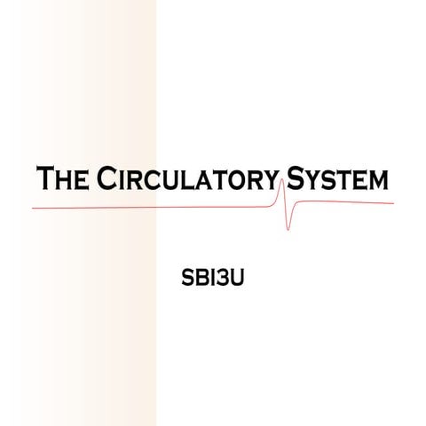 05 circulation | PPT