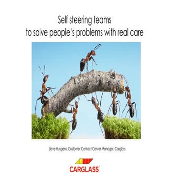 Carglass - self steering teams | PDF