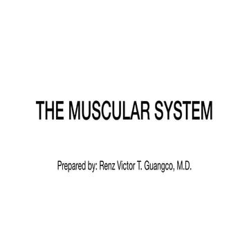 The Anatomy and Physiology of the Muscular System | PPT