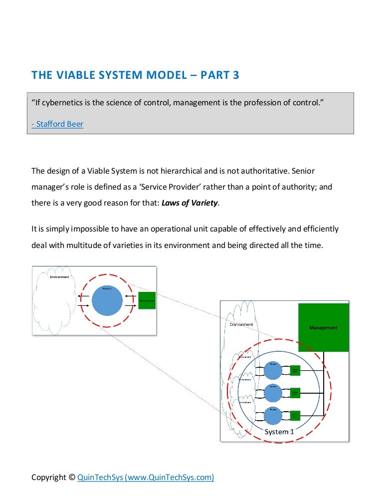 Viable System Model - Part 03